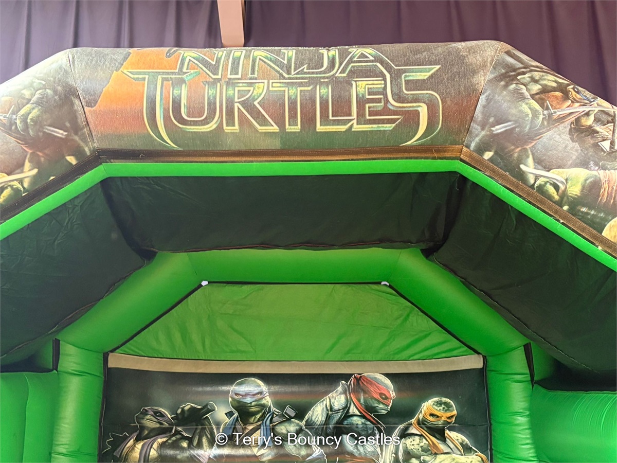 Teenage Mutant Ninja Turtles Side Slide - Bouncy Castle Hire in Greater ...