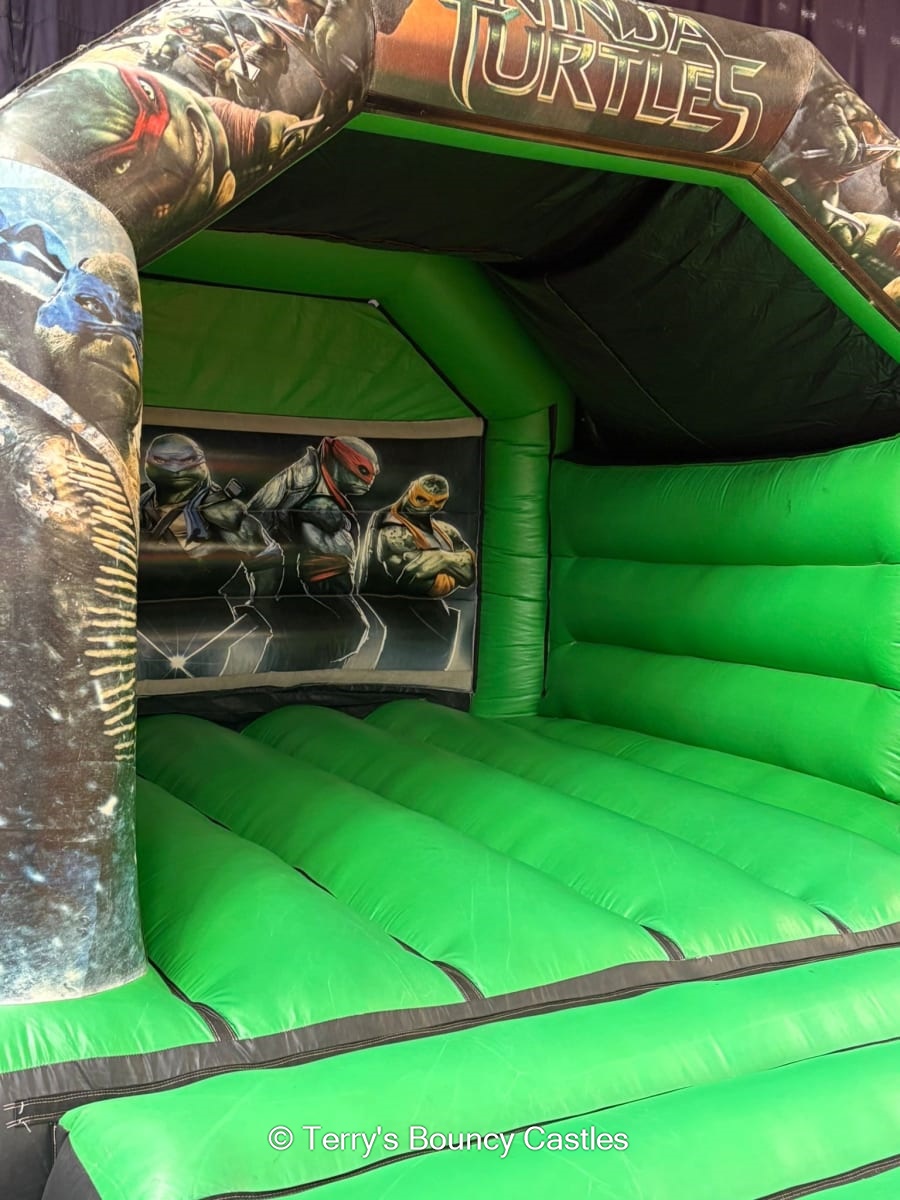 Teenage Mutant Ninja Turtles Side Slide - Bouncy Castle Hire in Greater ...